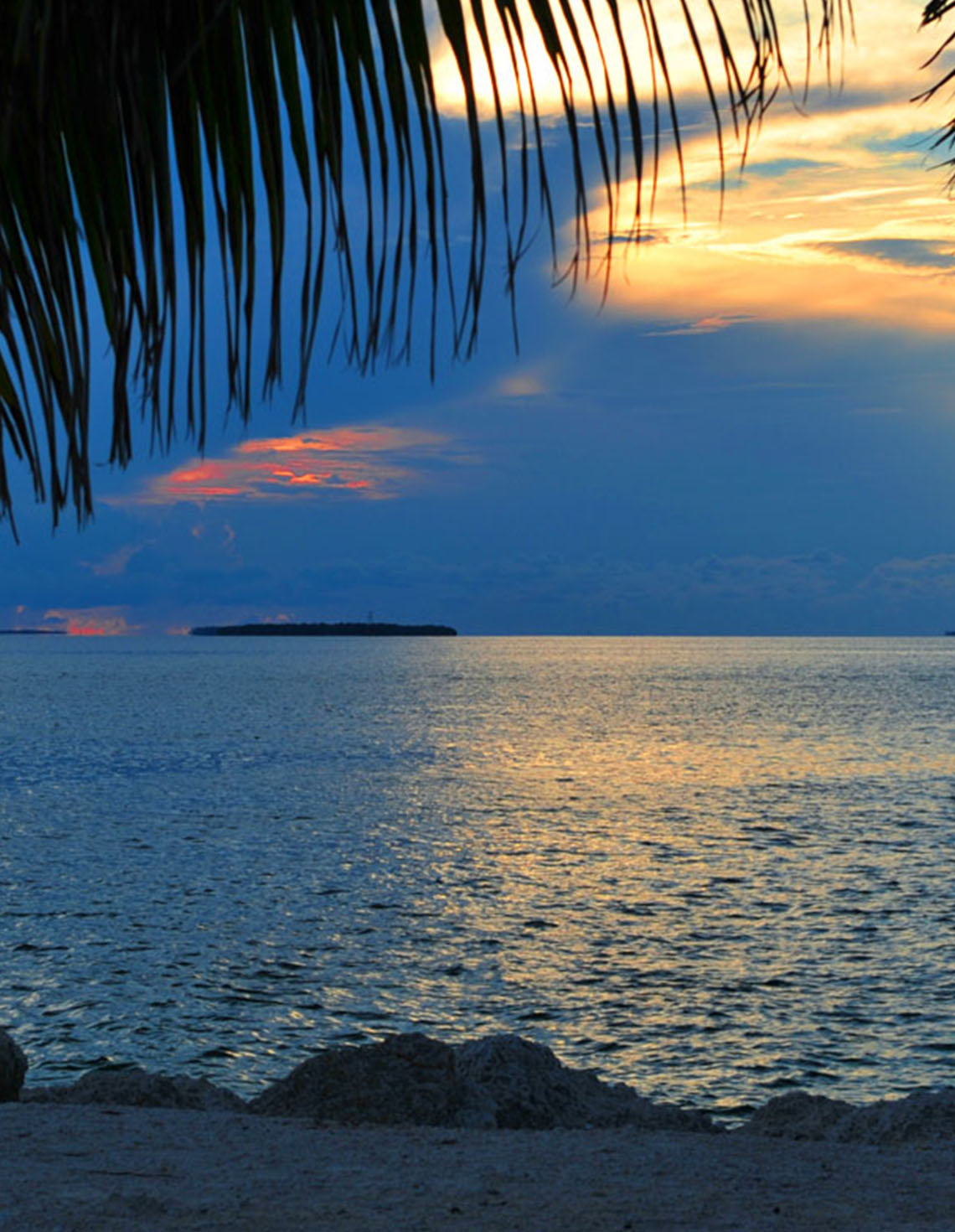 Key West Shore Excursions | Key West Cruise Excursions