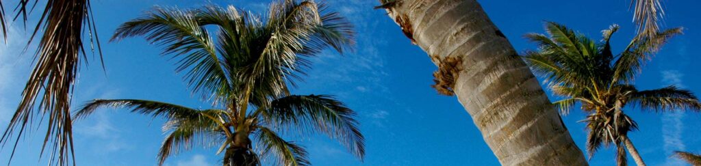 Key West Outdoor Activities And Things To Do On Vacation